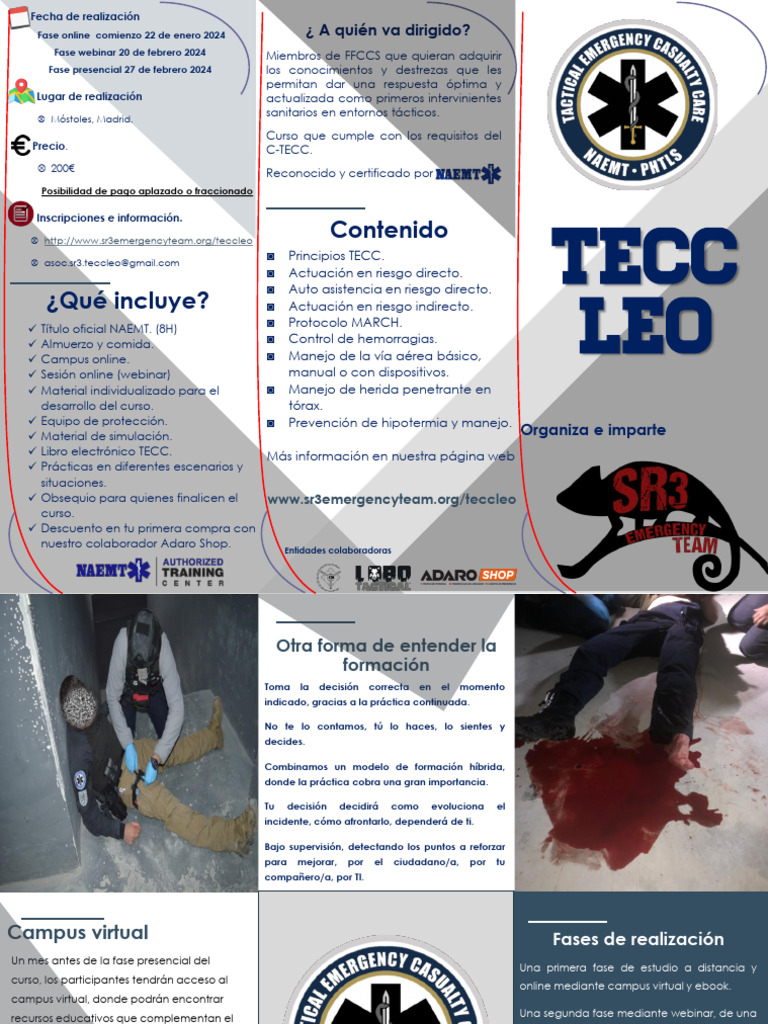 Tecc Leo: Contenido ¿Qué Incluye? | PDF | Conferencia web