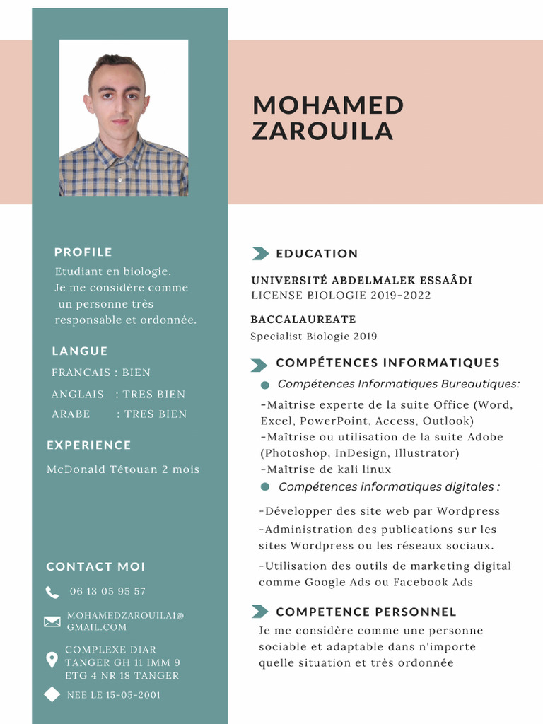Zarouila Mohamed Cv | PDF