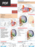 Anatomie des Os du Visage Humain | PDF | Anatomie humaine | Appareil ...