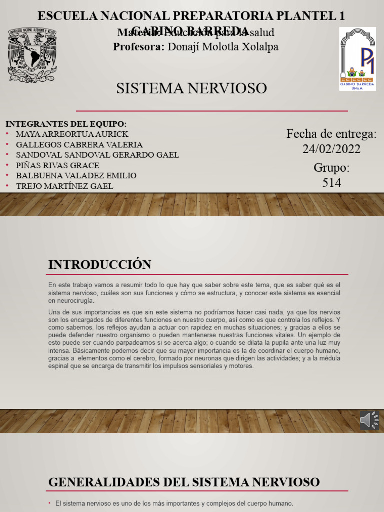 Actividad 3. Sistema Nervioso | Descargar gratis PDF | Sistema nervioso | Cerebro