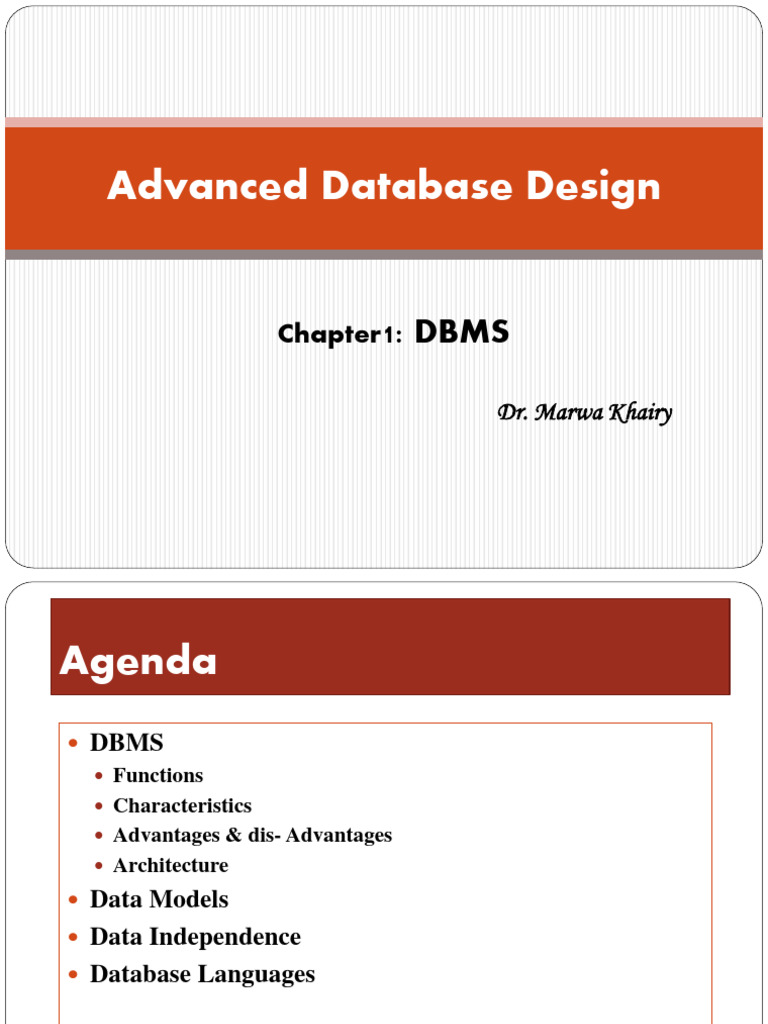 CH 1 | PDF | Databases | Data Model