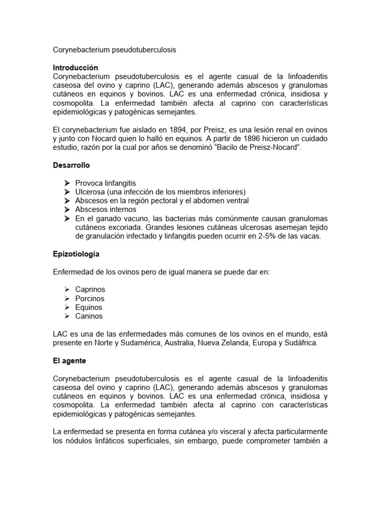 Corynebacterium Pseudotuberculosis | PDF | Fagocito | Infección