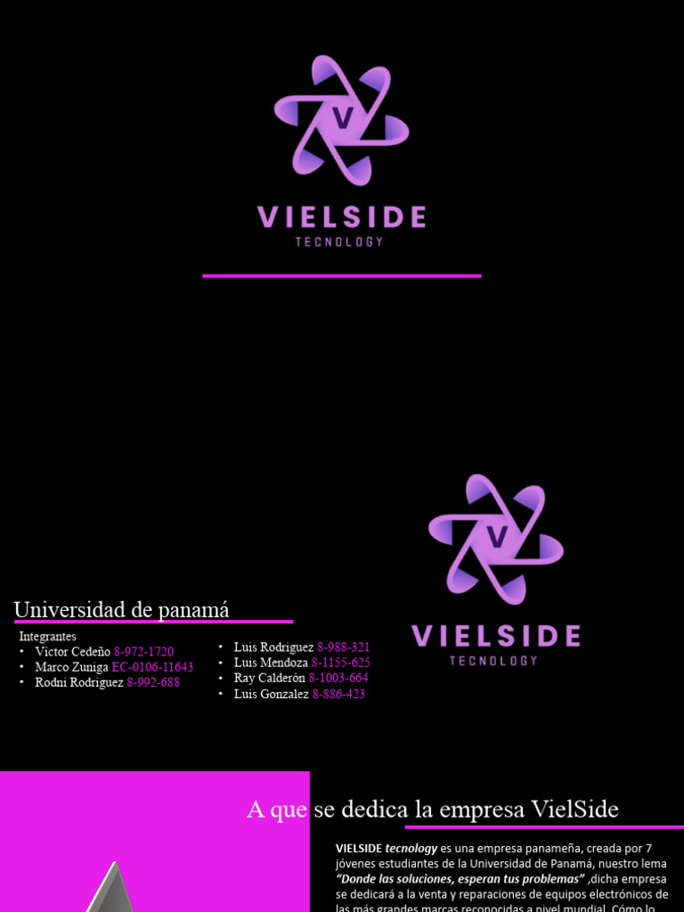 Emprendimiento Tarea Vielside | PDF | Business | Marketing