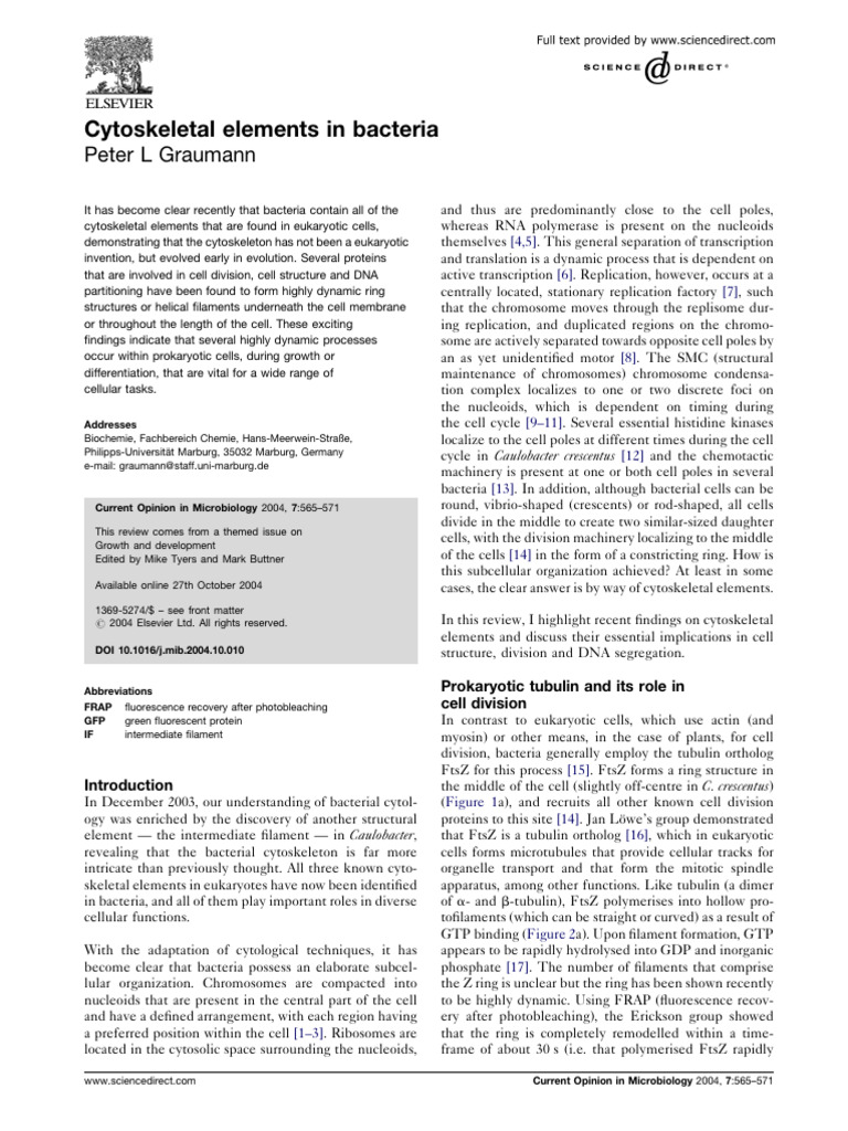 Cytoskeletal Elements In Bacteria Download Free Pdf Cytoskeleton