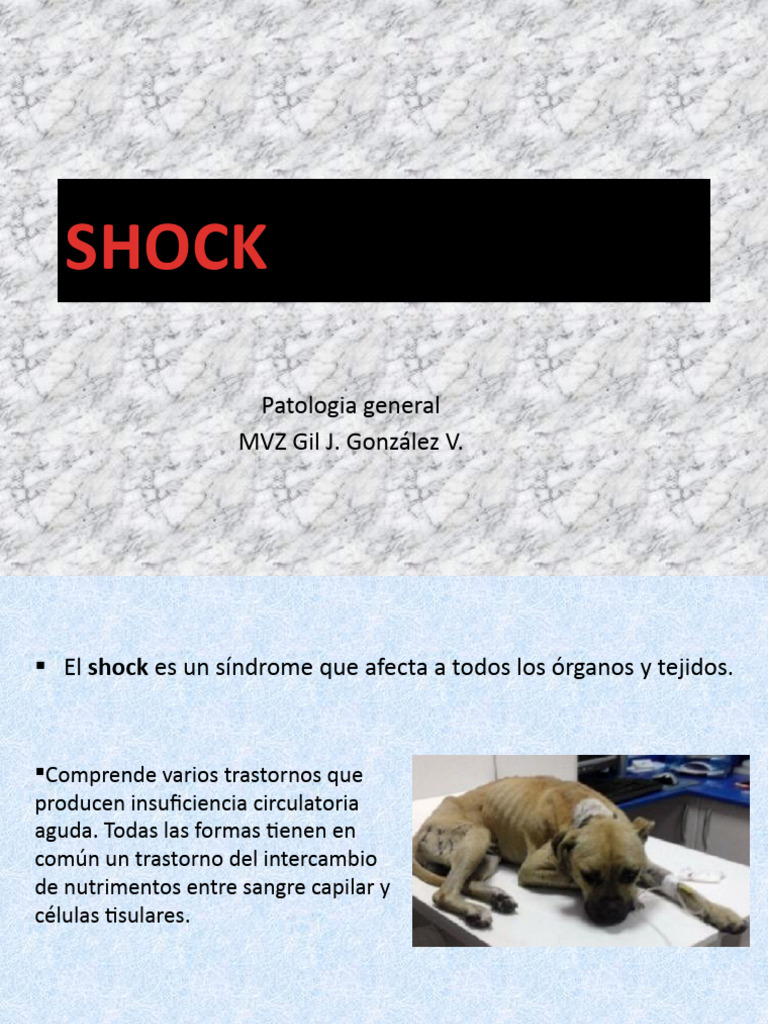 Shock | PDF | Choque (circulatorio) | Sangre