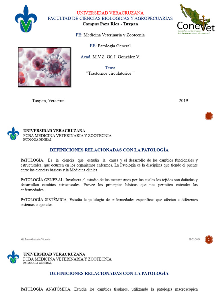 Hiperemia Patológica en Trastornos Circulatorios | PDF | Patología ...