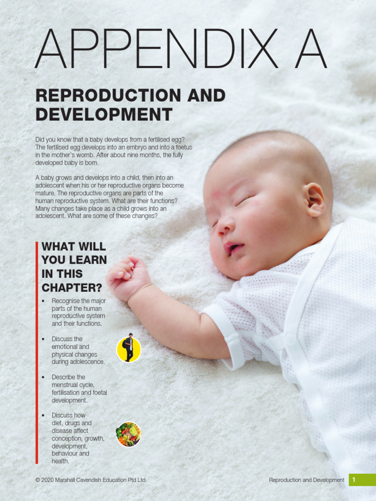 Sci Ahead LSec 2 SB Appendix A Reproduction and Development | PDF | Menstrual Cycle | Fertilisation