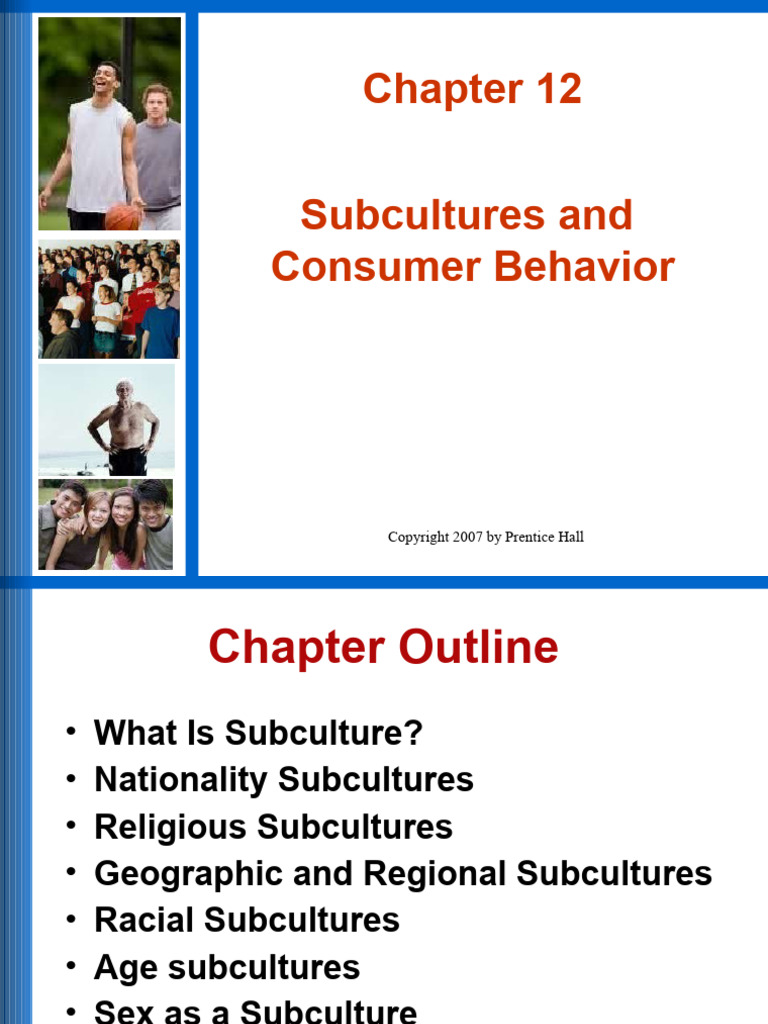 Chapter 12 - Subcultures | PDF