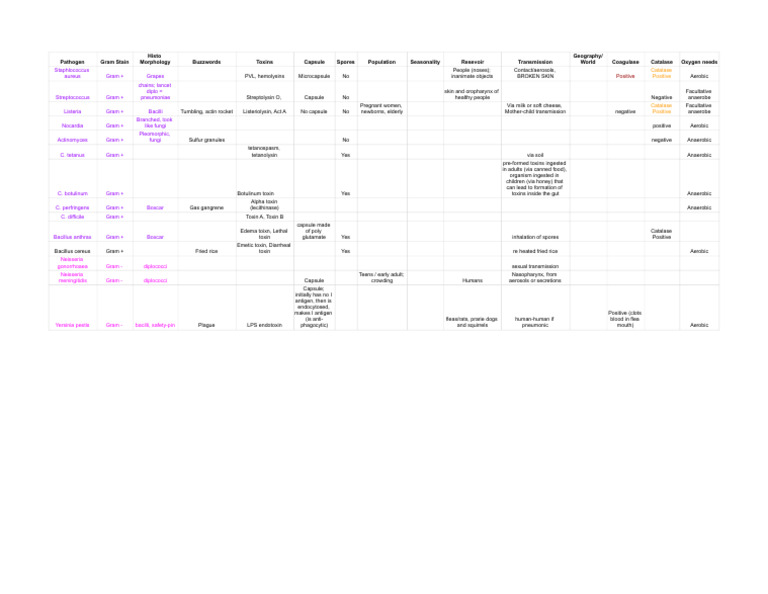Medical Microbiology Cheat Sheet | PDF | Bacillus | Medical Specialties