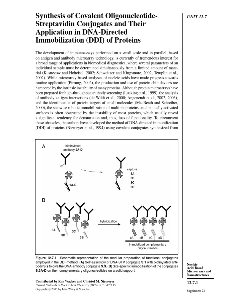 Synthesis Of Covalent Oligonucleotide Unit 12 7 Streptavidin