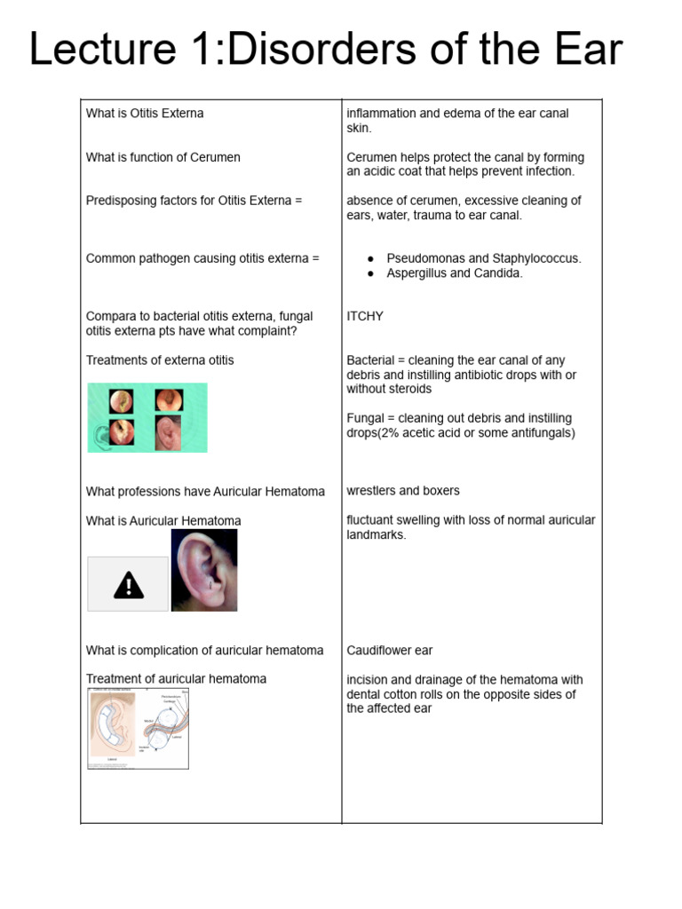 Ear Disorders: Otitis & Hearing Loss Guide | PDF | Hearing | Causes Of ...