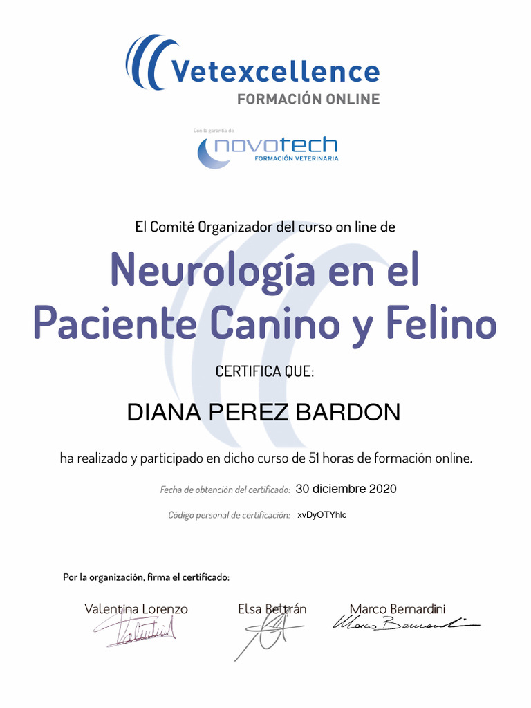 Calificación Sobresaliente Curso | PDF