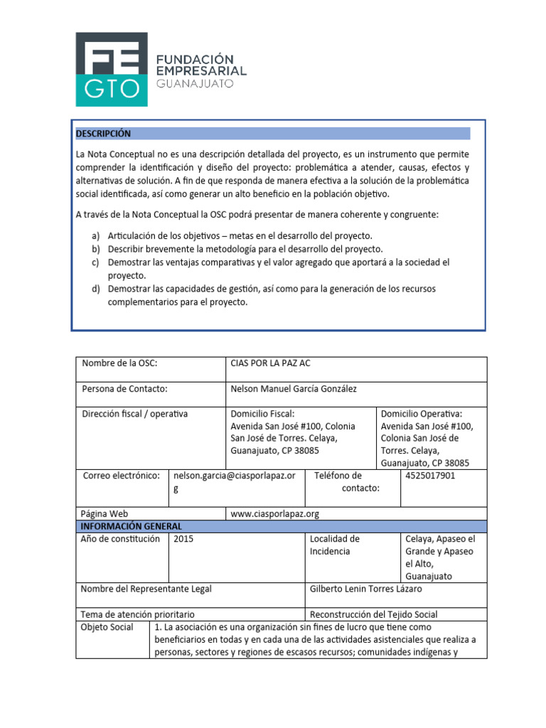 Formato A. NOTA CONCEPTUAL - Celaya | PDF