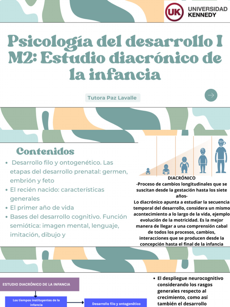 Psicología Del Desarrollo I M2 Lavalle | PDF