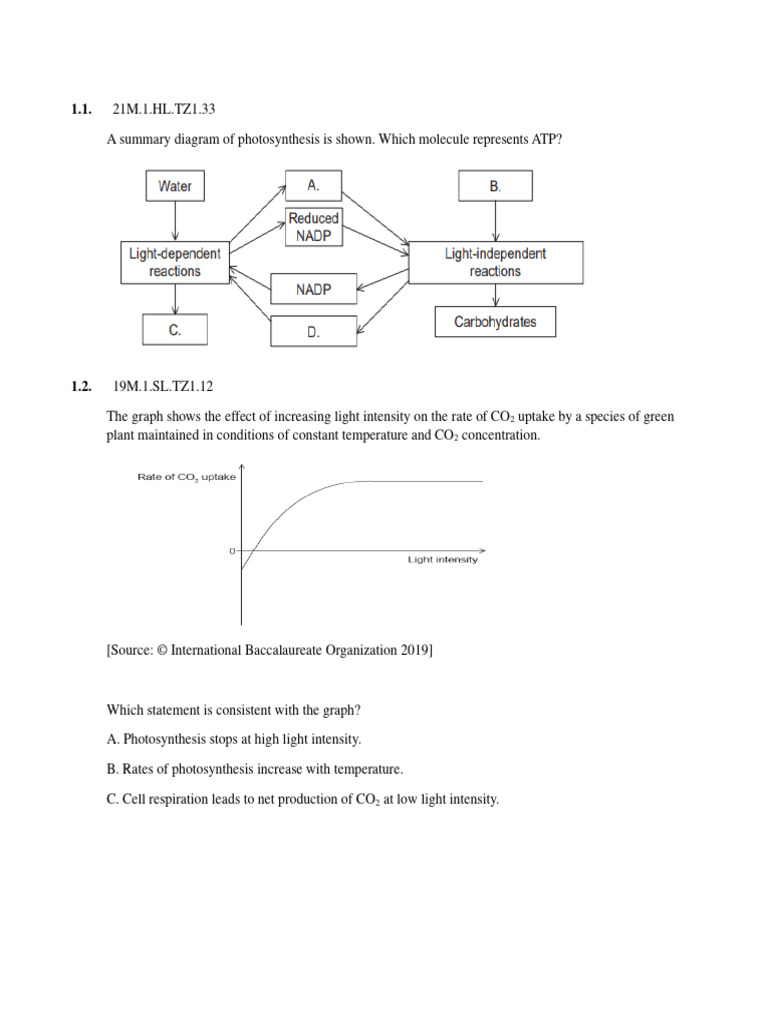 IB Biology Exam Questions Overview | PDF | Messenger Rna | Rna