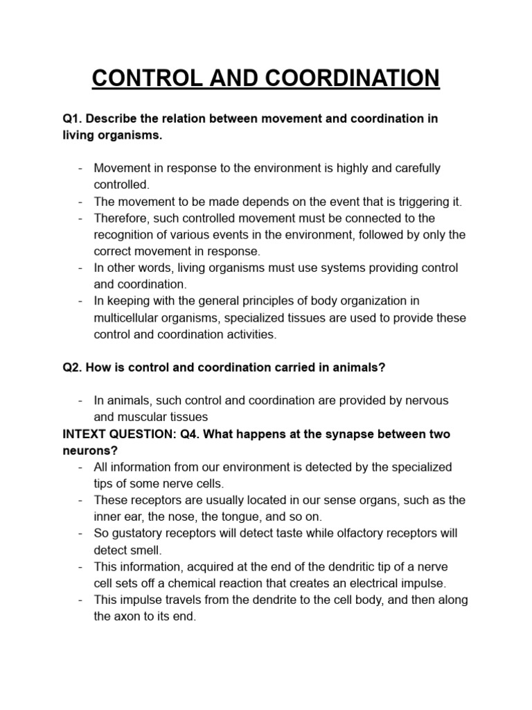 CONTROL AND COORDINATION | Download Free PDF | Nervous System | Central Nervous System