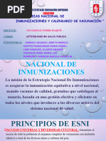Calendario PNI 2024 | PDF | Vacunas | Especialidades Medicas