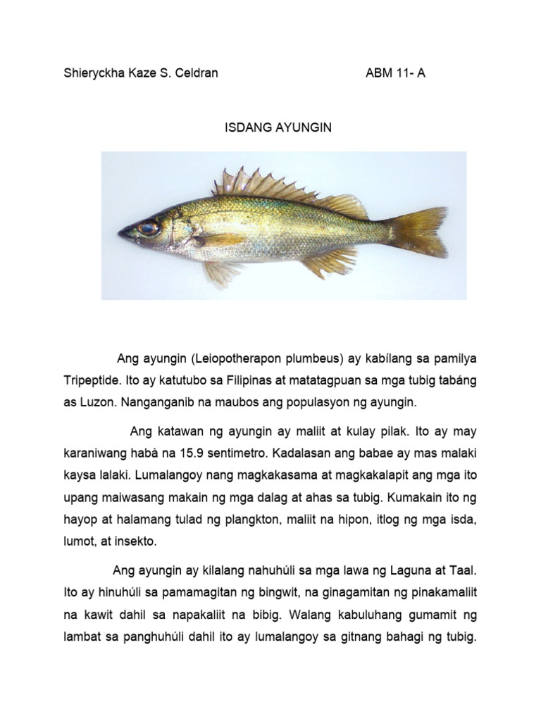 Isdang Ayungin | PDF