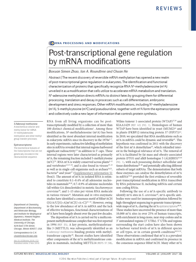 mRNA modifications | Download Free PDF | Messenger Rna | Alternative ...