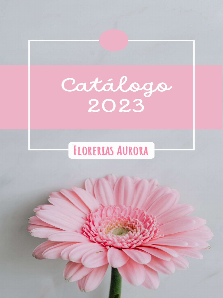 Catálogo Aurora | PDF