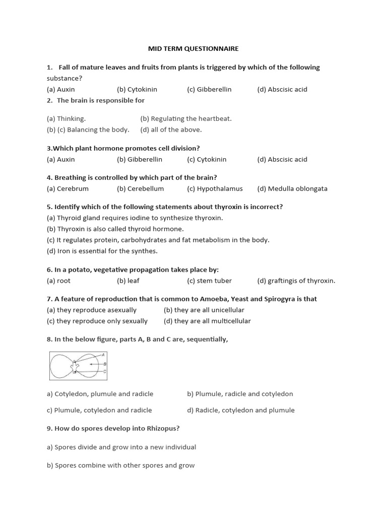 X - BIO - MIDTERM Questionnaire 2425 | PDF | Dominance (Genetics ...