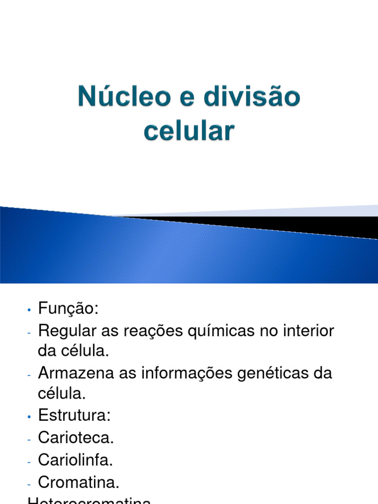 Estrutura e Funções da Célula e Divisão Celular | PDF | Meiose ...