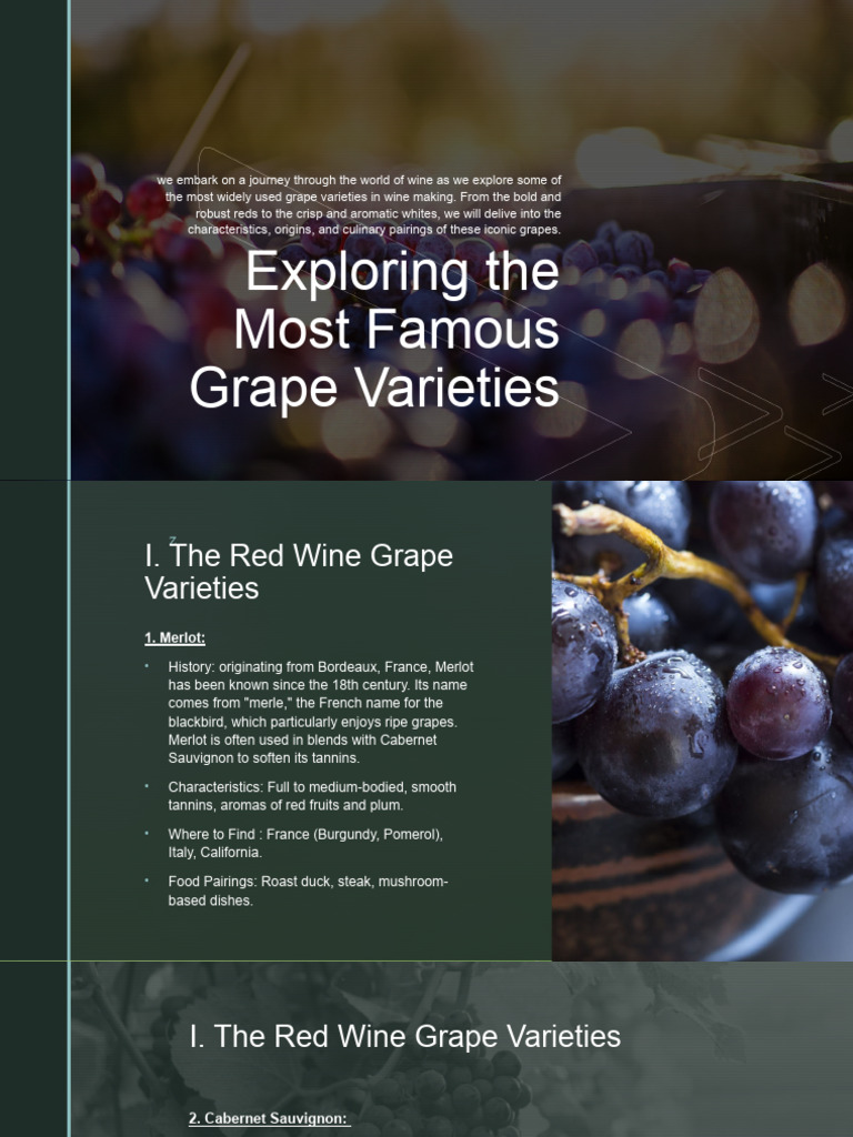 Grapes varieties | PDF | Wine | Crops Originating From Europe