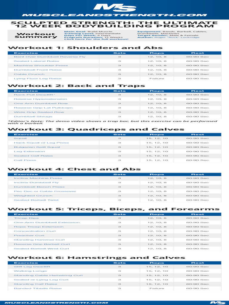 Sculpted Strength | Download Free PDF | Strength Training | Physical Fitness
