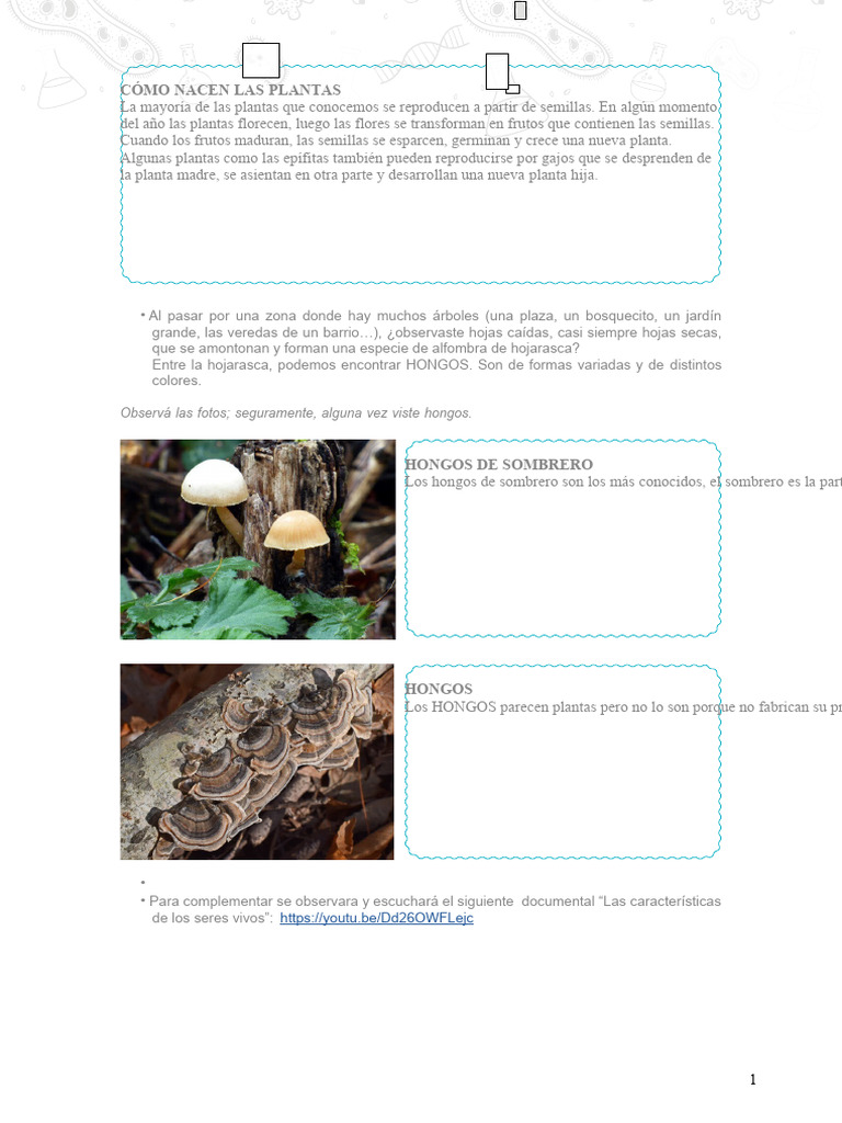 4 Juegos | PDF | Microorganismo | Reproducción