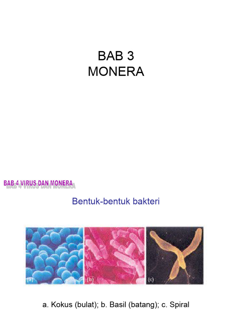 Struktur dan Jenis Bakteri Monera | PDF