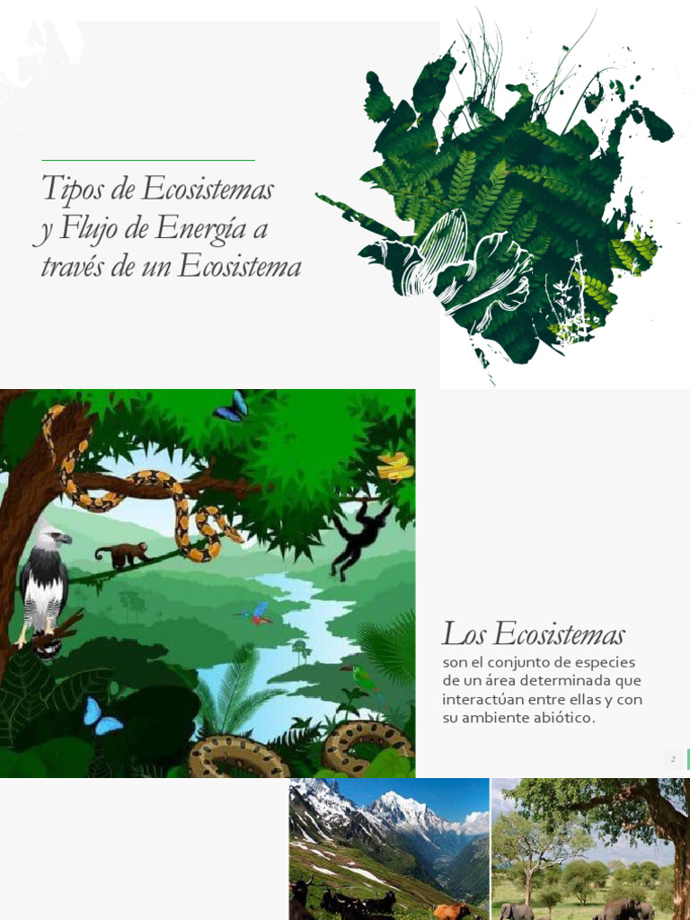 Ecosistemas | PDF | Ecosistema | Suelo