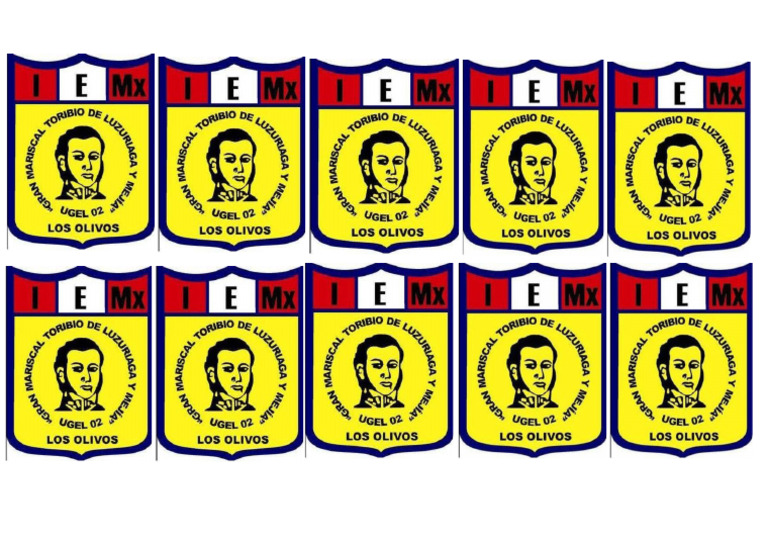 Insignia Luzuriaga | PDF