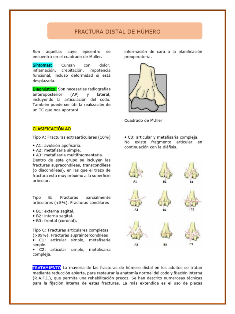 FRACTURA DISTAL DE HÚMERO | PDF | Articulación | Sistema musculoesquelético