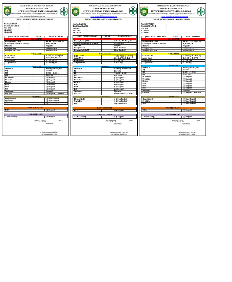 Form Hasil Pemeriksaan Labor | PDF
