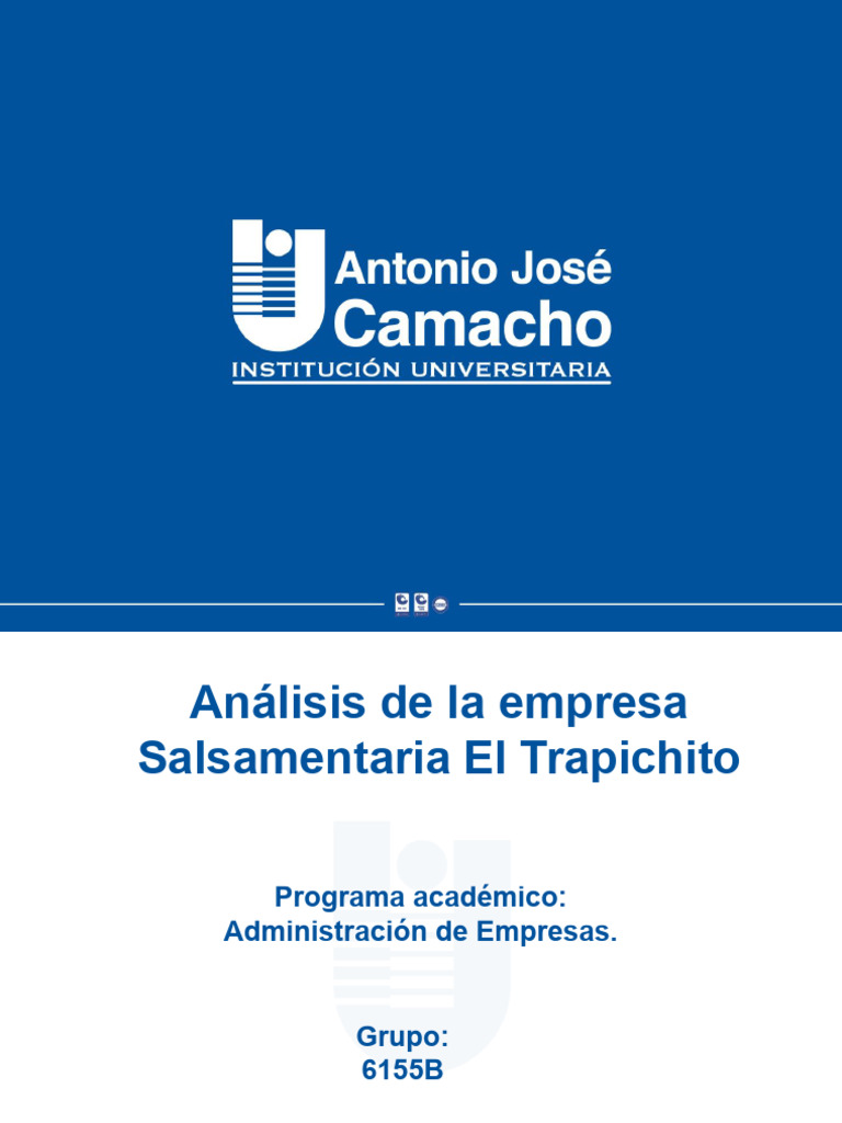 Análisis de Empresa | PDF