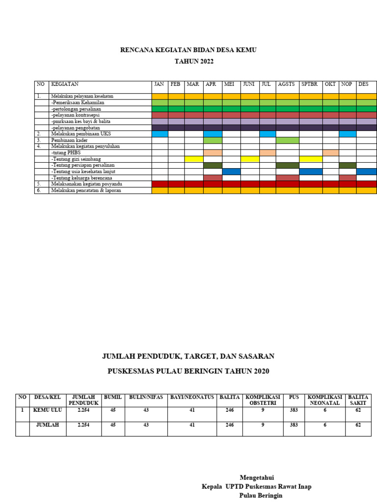 Rencana Kegiatan Bidan Desa Simpang Pancur | PDF