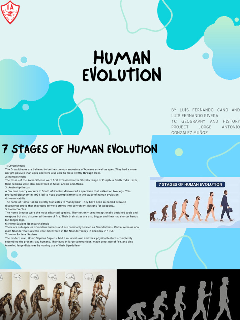 7 Stages of Human Evolution Explained | PDF | Homo | Human Evolution