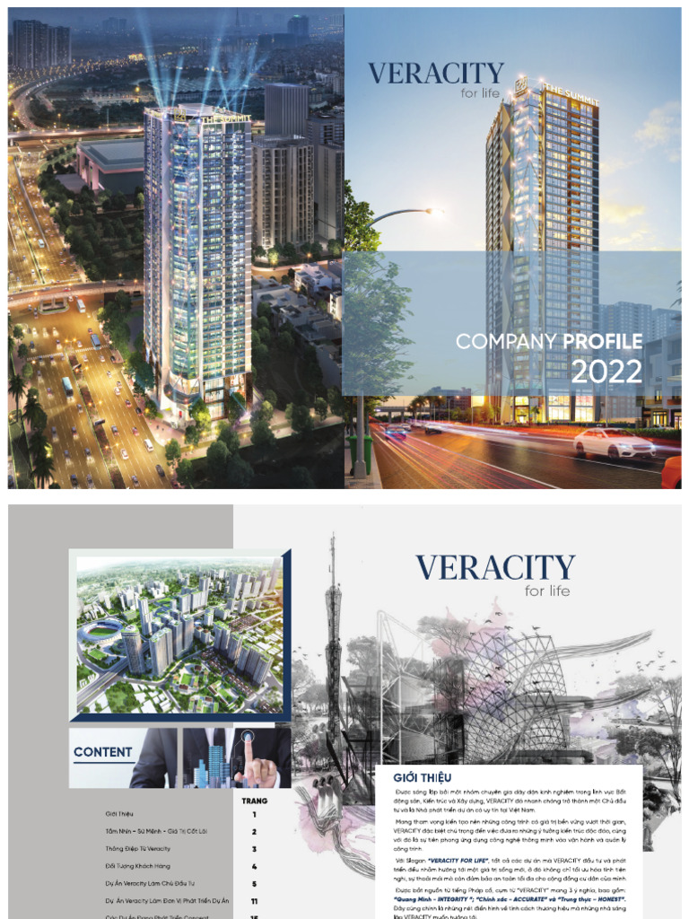 Veracity Company Profile 12.11 | PDF