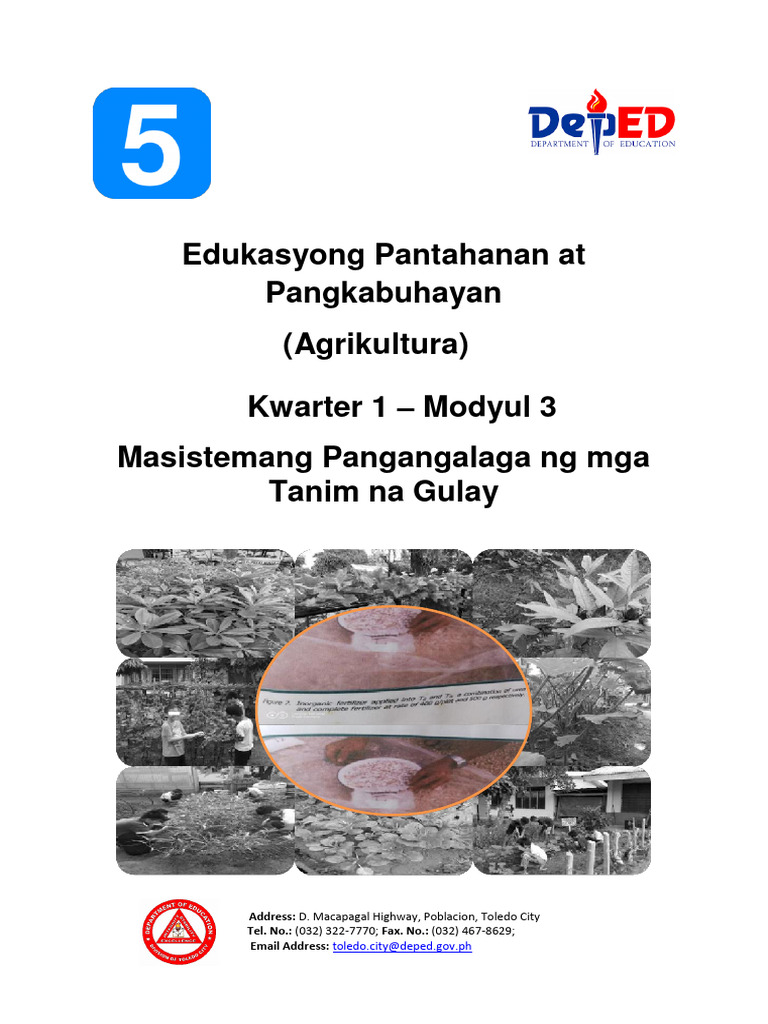 EPP5 Agri Q1 W3 Module-3 | PDF