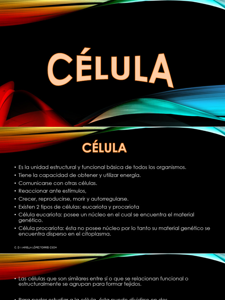 Célula-1 | PDF | Citoplasma | Nucleo celular