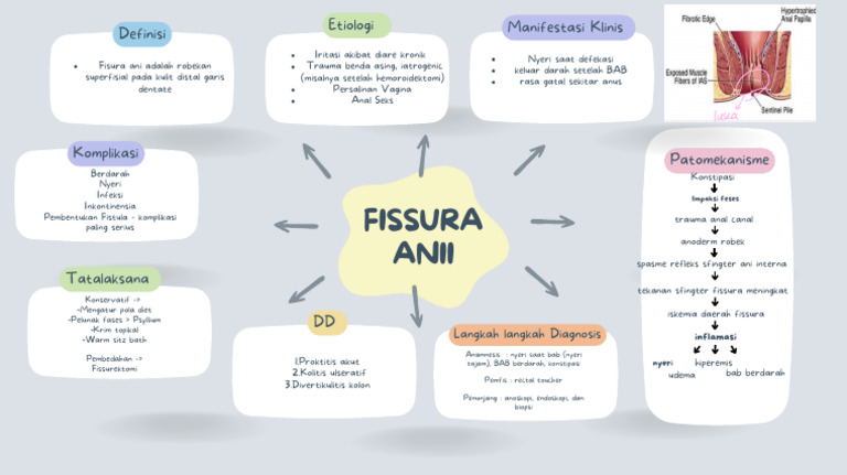 Fisura Ani: Gejala, Diagnosis, dan Komplikasi | PDF