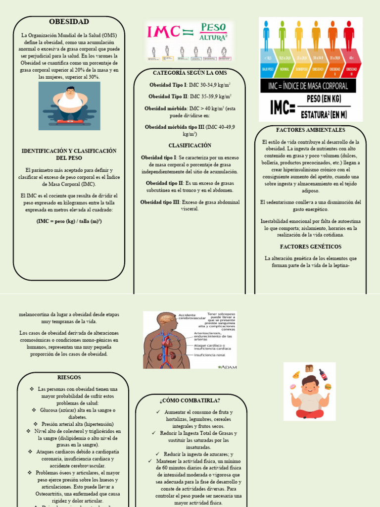 Triptico de La Obesidad 2 | PDF | Obesidad | Tejido adiposo Triptico de La Obesidad 2 | PDF | Obesidad | Tejido adiposo