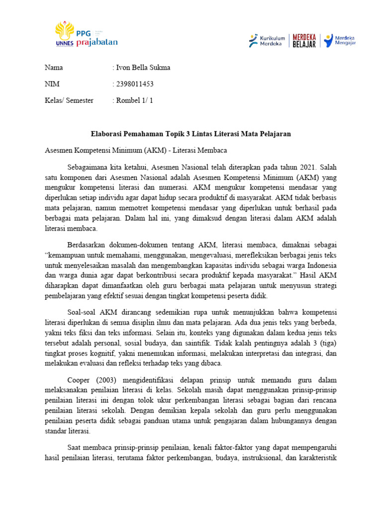 Pemahaman AKM: Literasi Membaca dan Penilaian | PDF | Karier ...