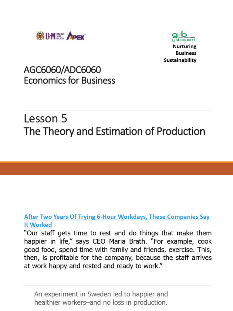 The Theory And Estimation Of Production Pdf Production Function