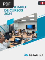 Manual Datamine Studio RM | PDF | Estadísticas | Minería