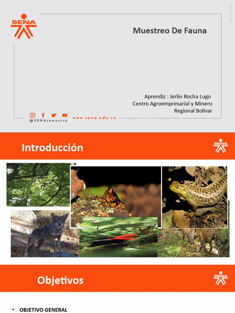 Muestreo de Fauna | PDF | Fauna | Suelo