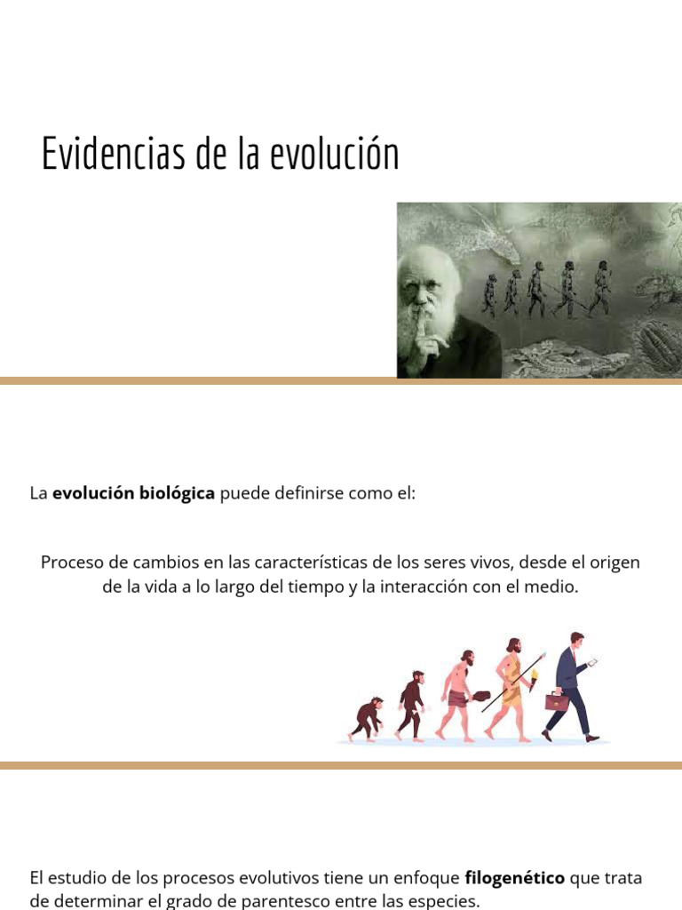 Evidencias de La Evolución | PDF | Fósil | Evolución