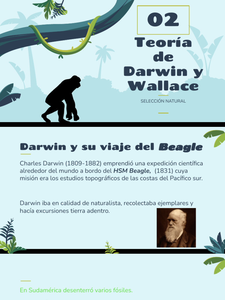 Teoría de Darwin y Wallace | PDF | Charles Darwin | Alfred Russel Wallace