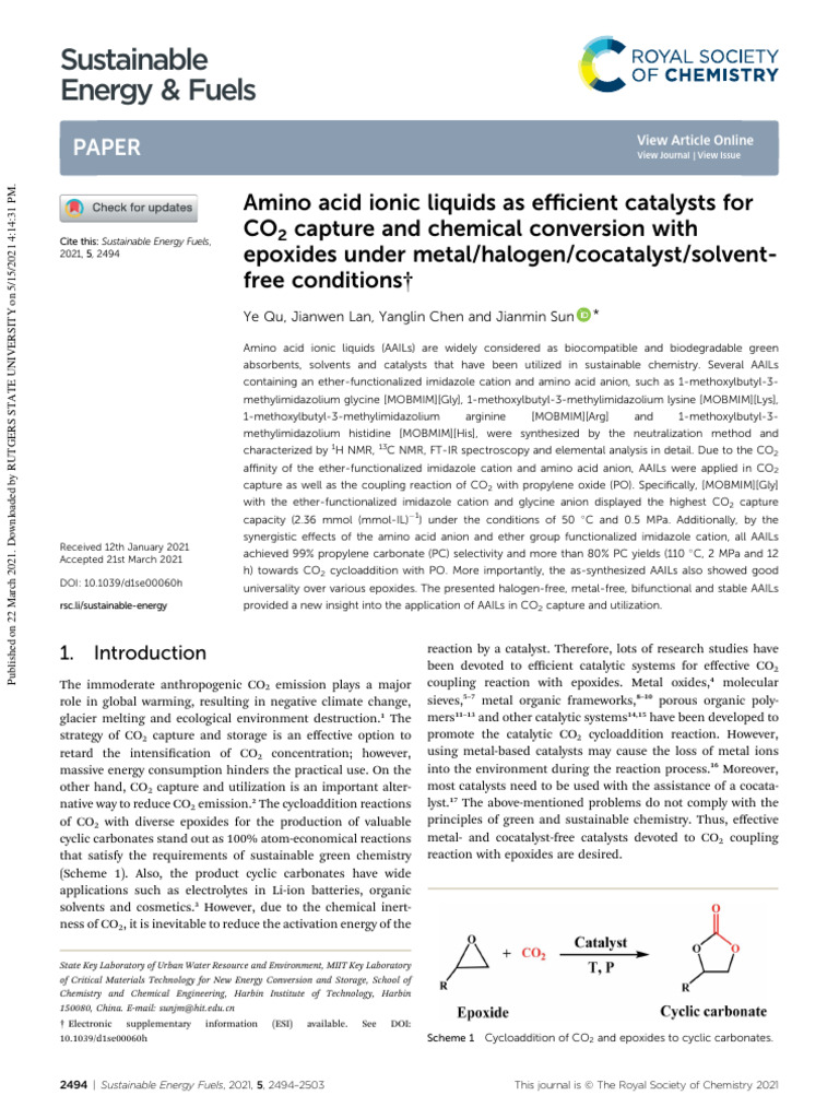 Sustainable Energy & Fuels: Paper | PDF | Chemical Reactions | Amino Acid