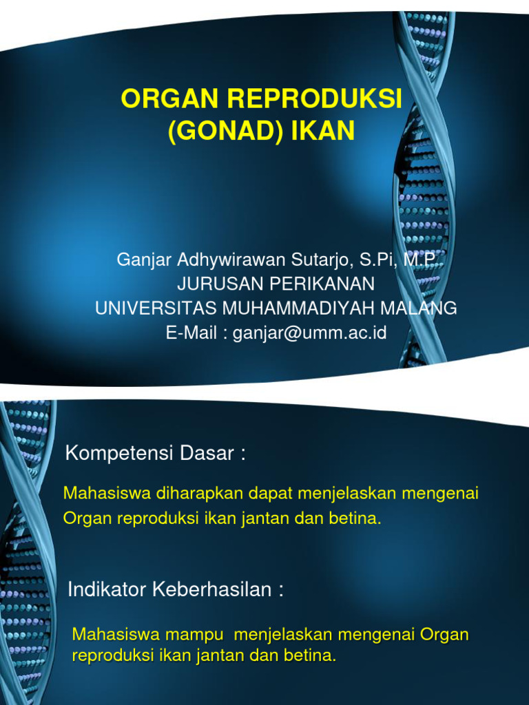 Organ Reproduksi Ikan Jantan dan Betina | PDF | Sains & Matematika
